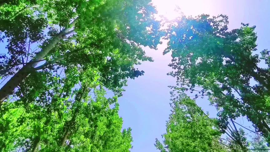 4月27日下午,全体九年级师生来到了校外劳动实践基地