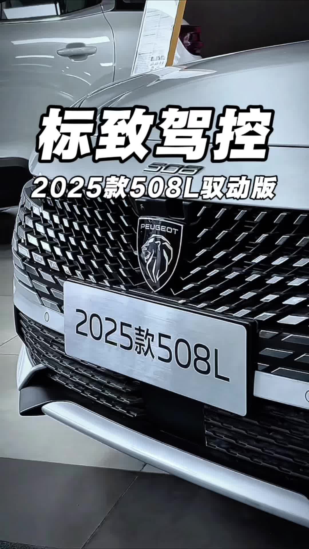 ...爱信8AT原装进口变速箱,五连杆够独立悬挂,一台被低估的法系旗舰驾...