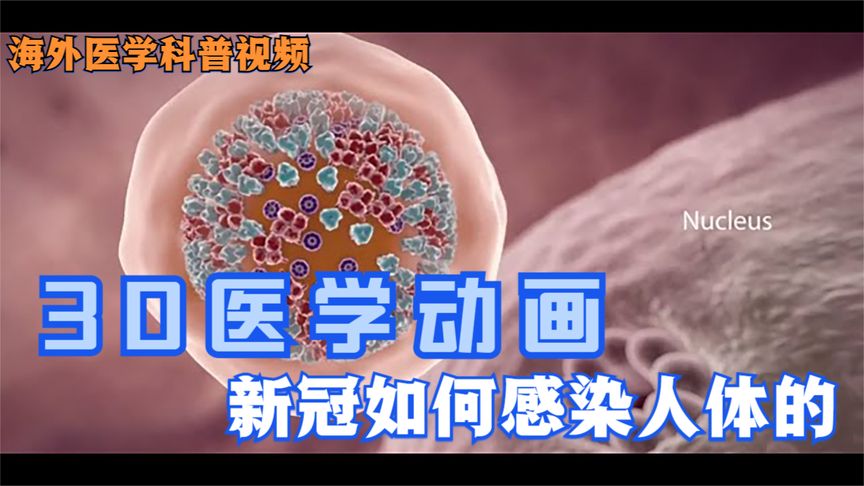 【3D医学动画】新冠肺炎病毒如何侵袭你的身体