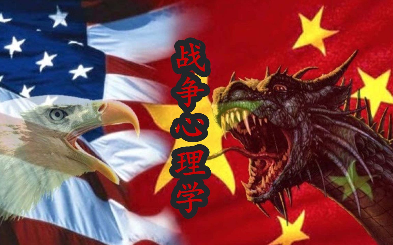 战争心理学:为什么人类会冒死发动战争?【sunday进化心理学】