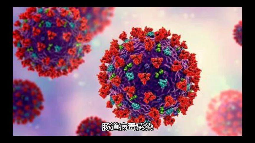 肠道病毒导致的疾病