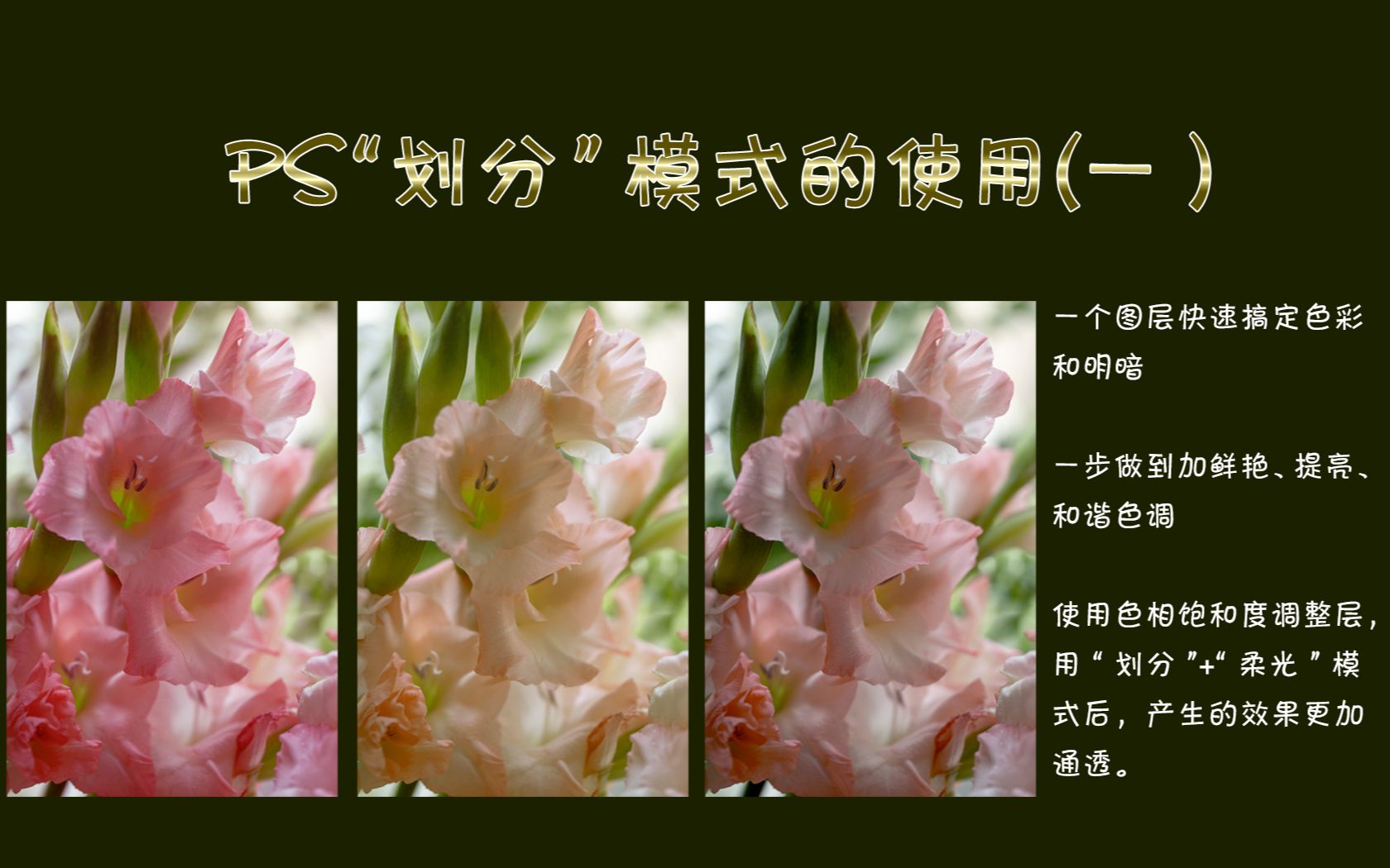 PS划分模式的使用(一)Z