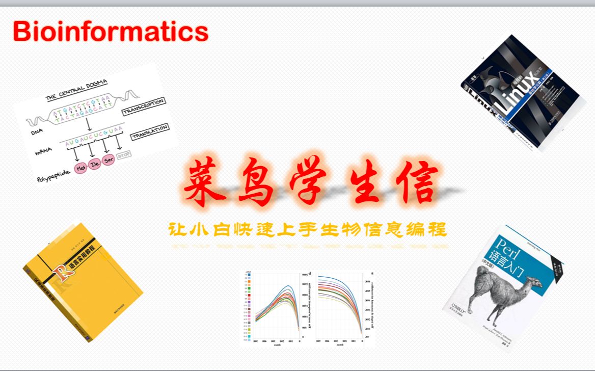 2.1.Perl运行方式