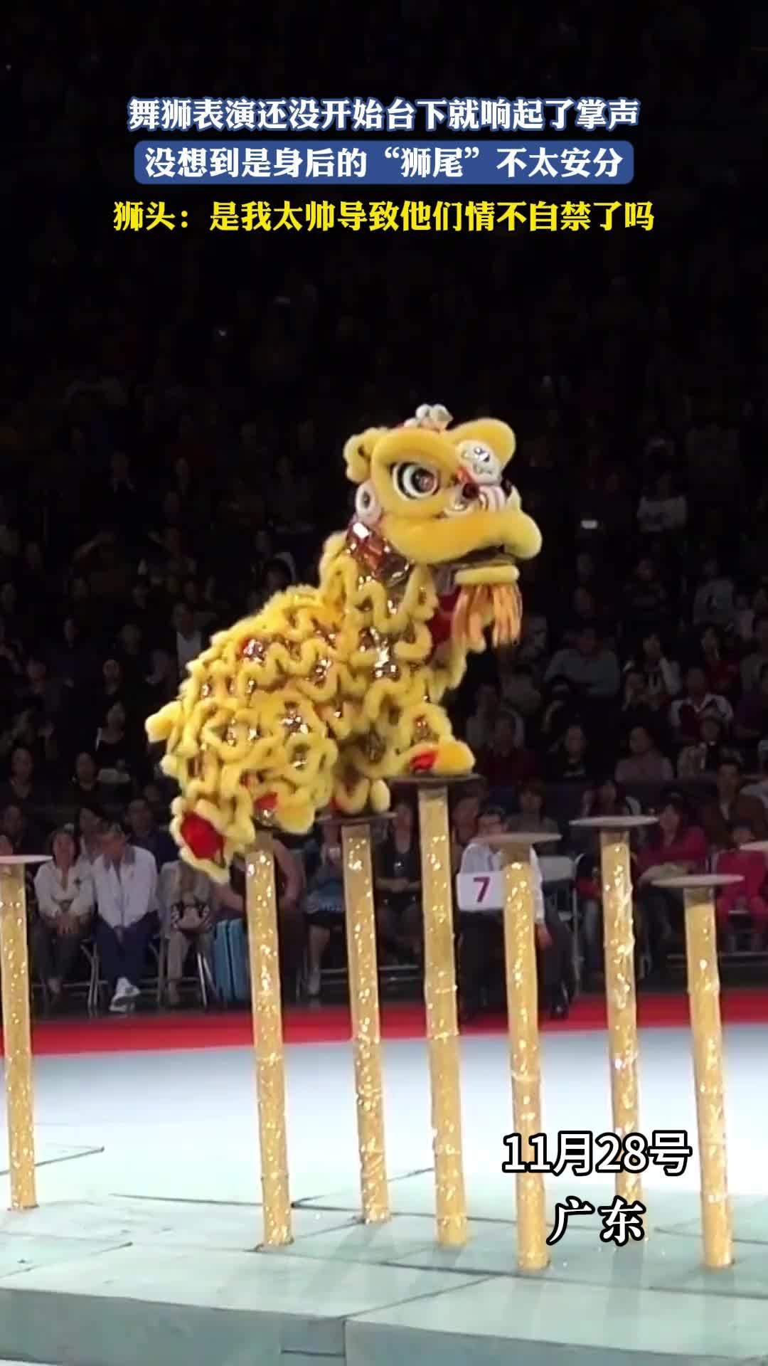舞狮表演还没开始台下就响起了掌声,是身后的"狮尾"不太安分