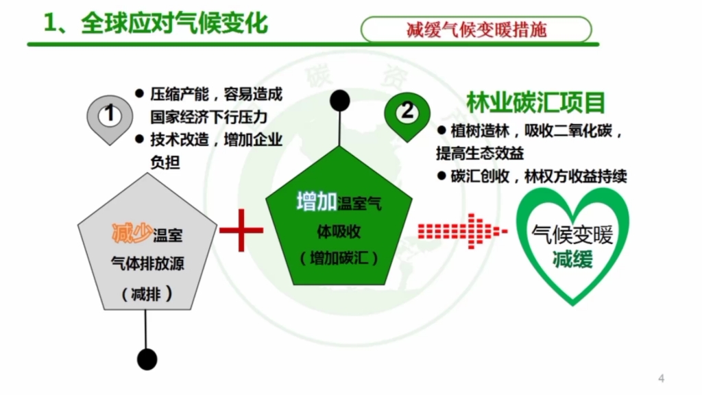 碳中和——林业碳汇项目开发