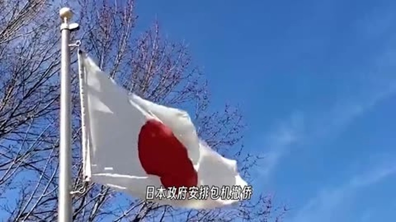 日本撤侨包机收费引发争议