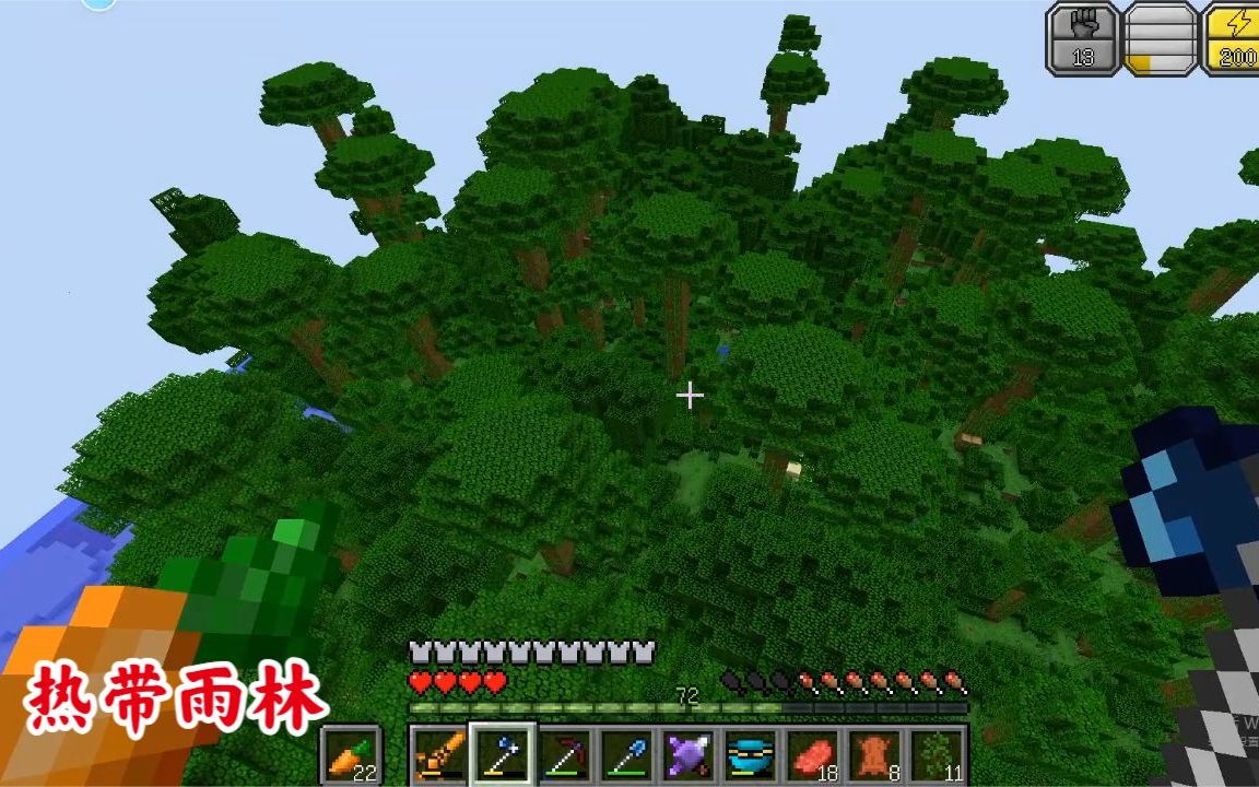 我的世界虚无变形记81:终于找到热带雨林,收集一些特产带回去