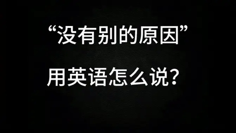 "没有别的原因"用英语怎么说?