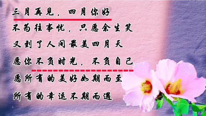 剪映教程,如何给文字添加自动延长的红色实线或虚线?重点标注