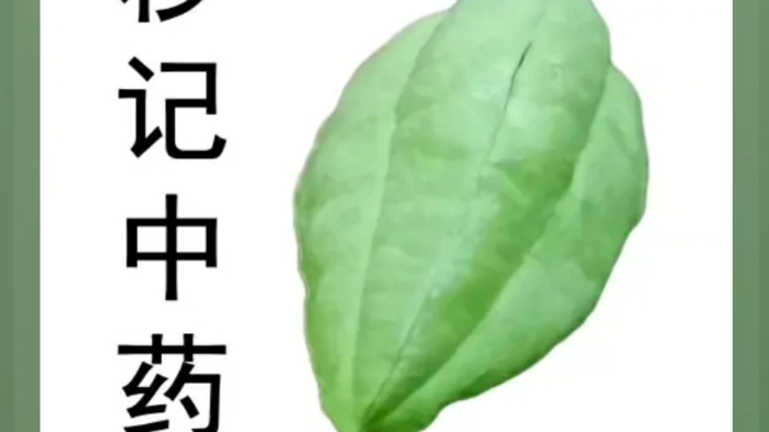 《300中成药》第7剂 双黄连合剂