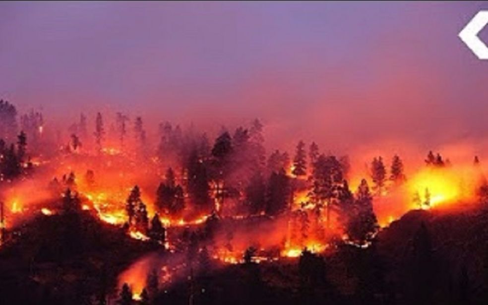 【探索求真】这个视频颠覆三观啊!小行星撞击灭绝的不只是恐龙@油...