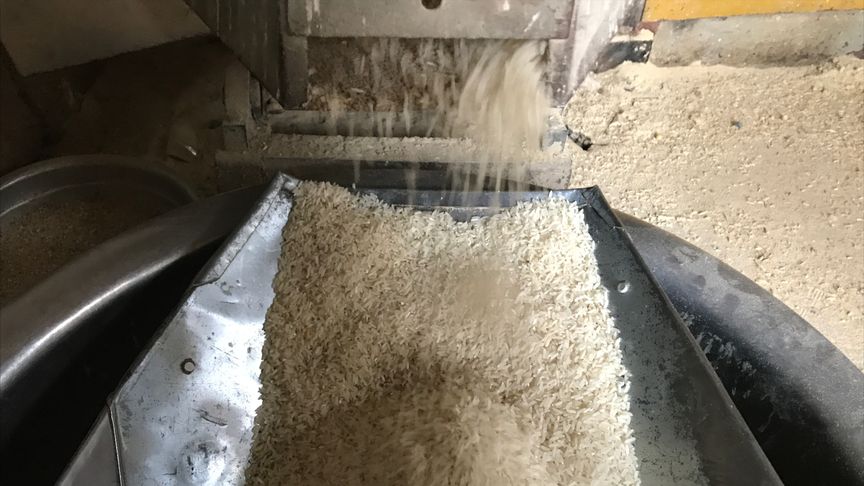 小刘今年剩下的粮食看看还有多少,给大家瞧瞧稻谷变成大米的过程