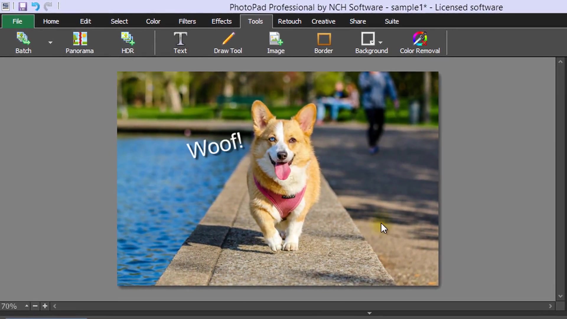 NCH PhotoPad for Mac(图像照片编辑软件) v7.55注册激活版