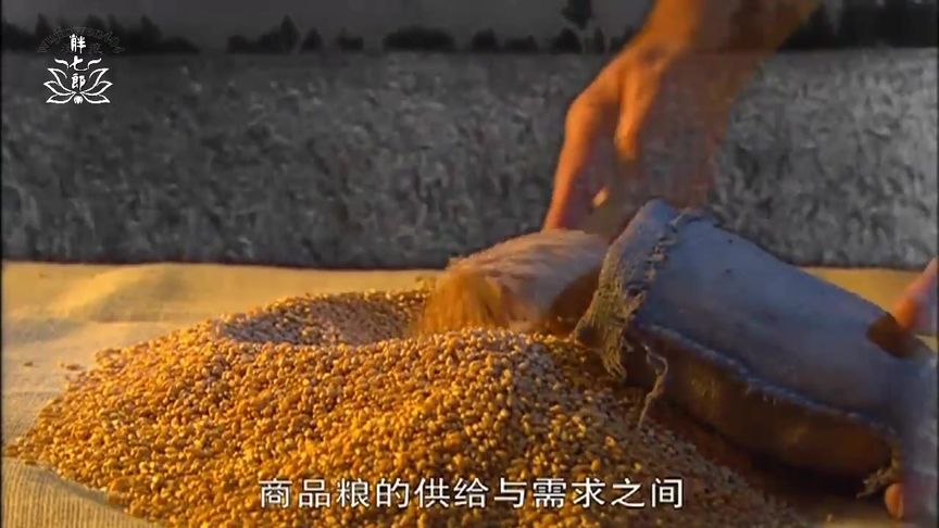 080纪录片:苏联社会主义工业化和农业集体化