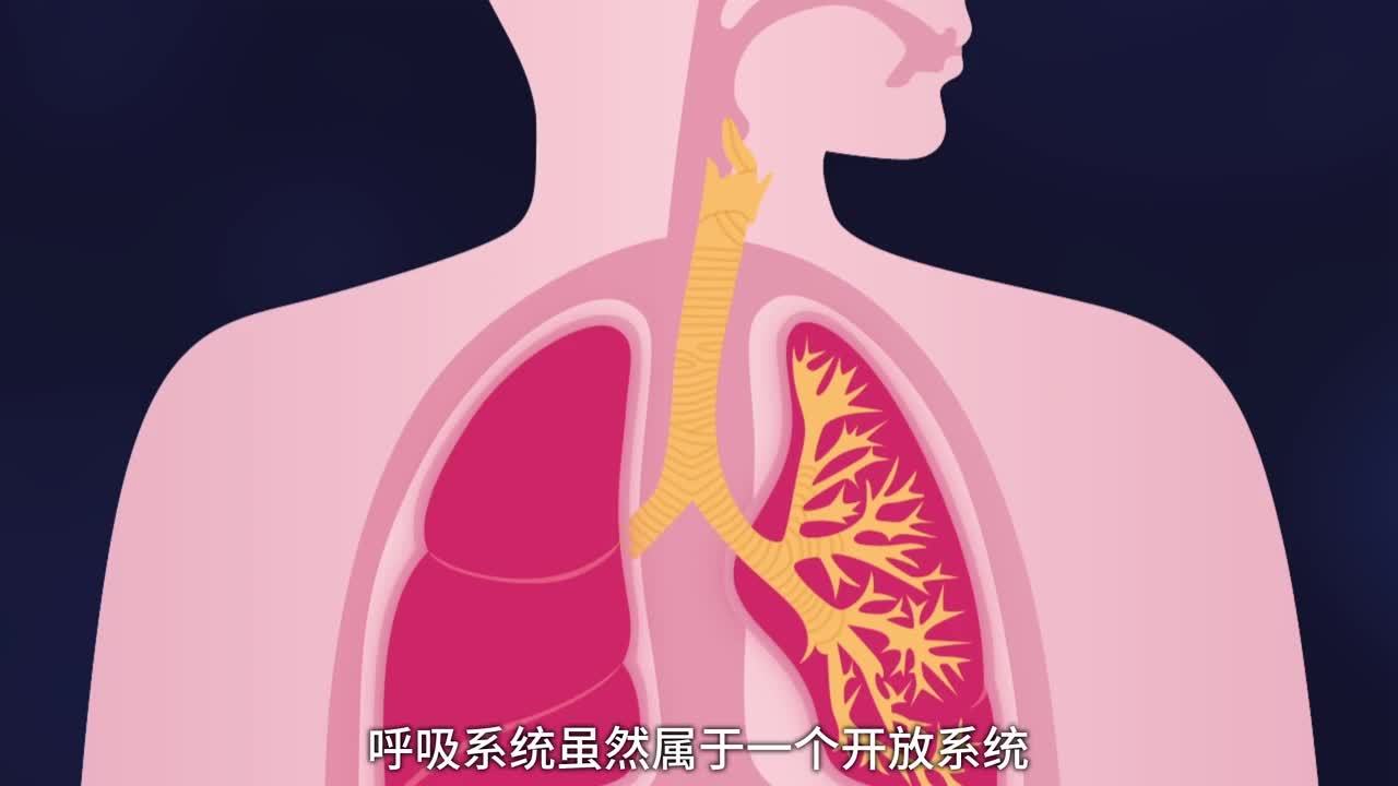 免疫系统在和病毒斗争的过程中,都做了什么?