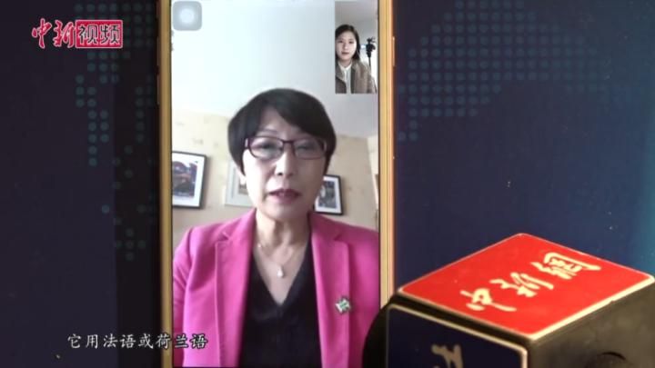 比利时学者张维宏:欧洲国家应尽一切力量维持医疗系统运转
