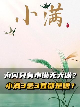 为什么只有小满没有大满?小满养生3忌3宜,都是什么? #近代史 #传统.