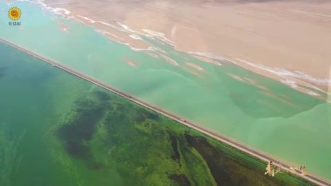 看见心生-"在益起"健康公益项目微纪录片发布