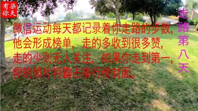 微信步数运动排名