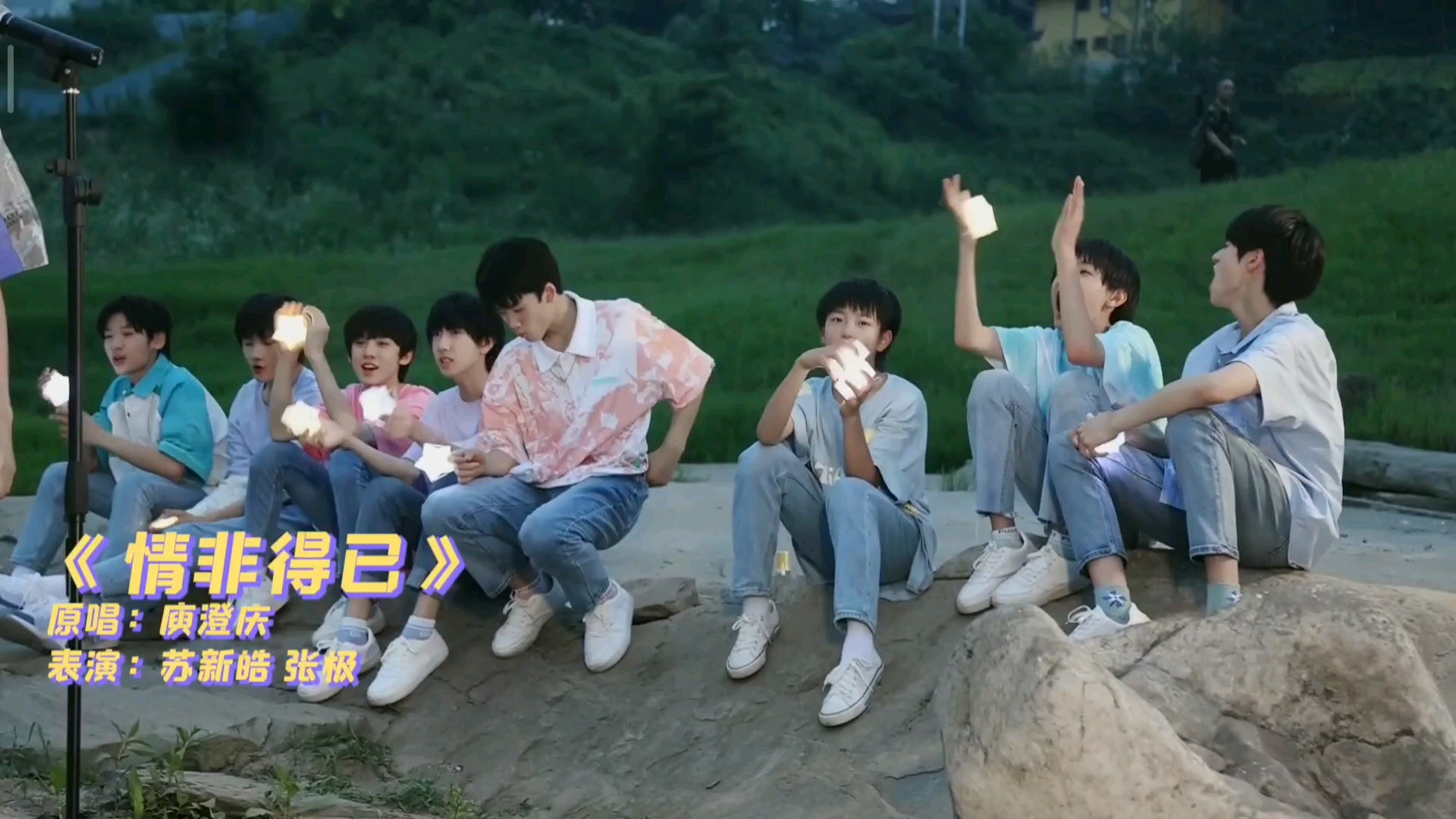 《情非得已》 张极 苏新皓