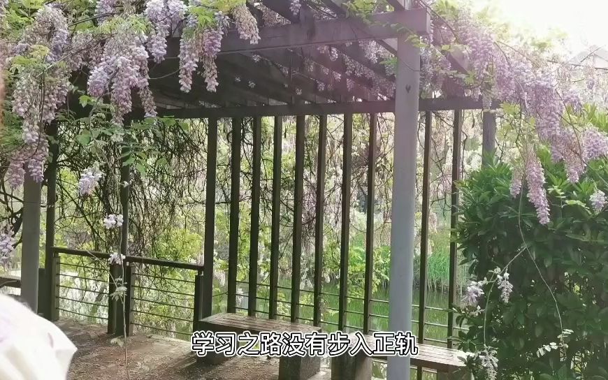 看完这个视频,教你如何零基础学好一门编程语言#学习 #python # - 抖音