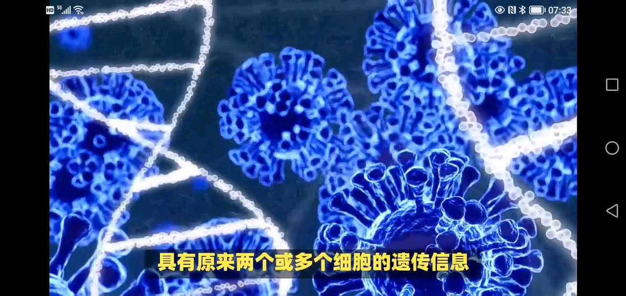 动物细胞工程④动物细胞融合技术