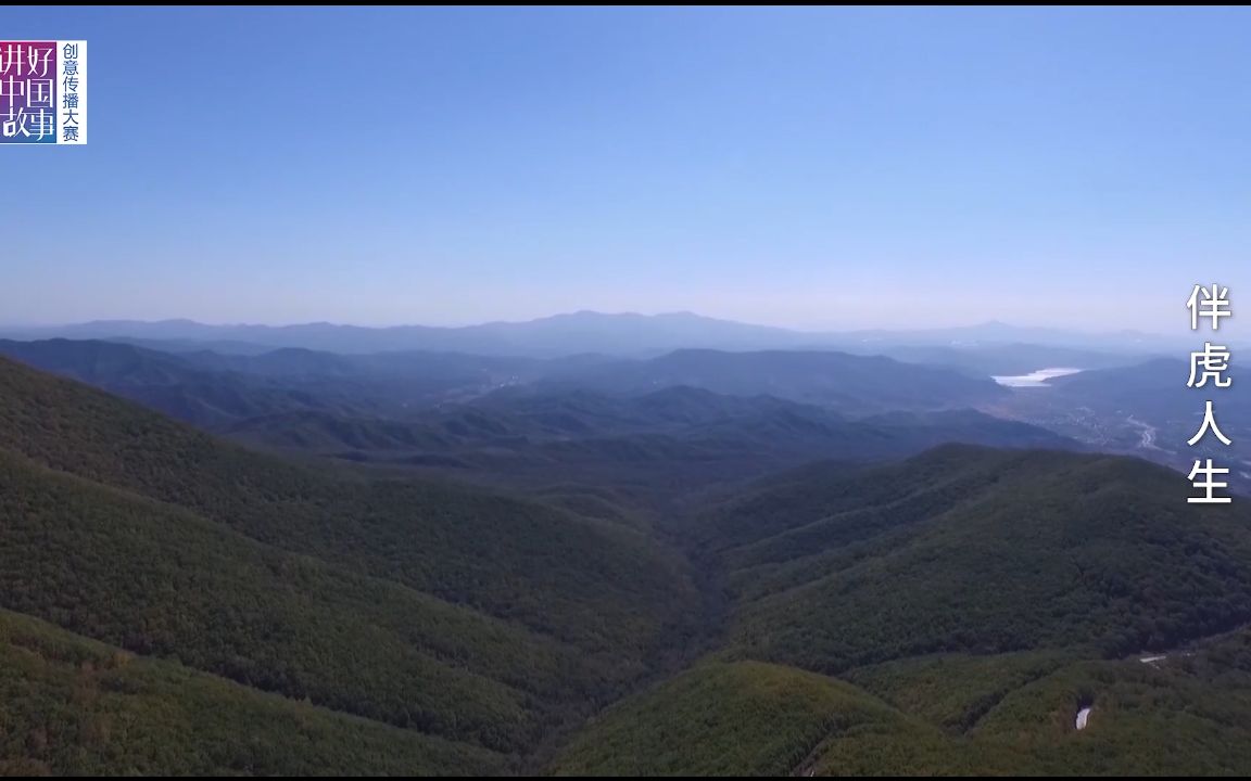 《伴虎人生》——2022“讲好中国故事”创意传播大赛优秀作品