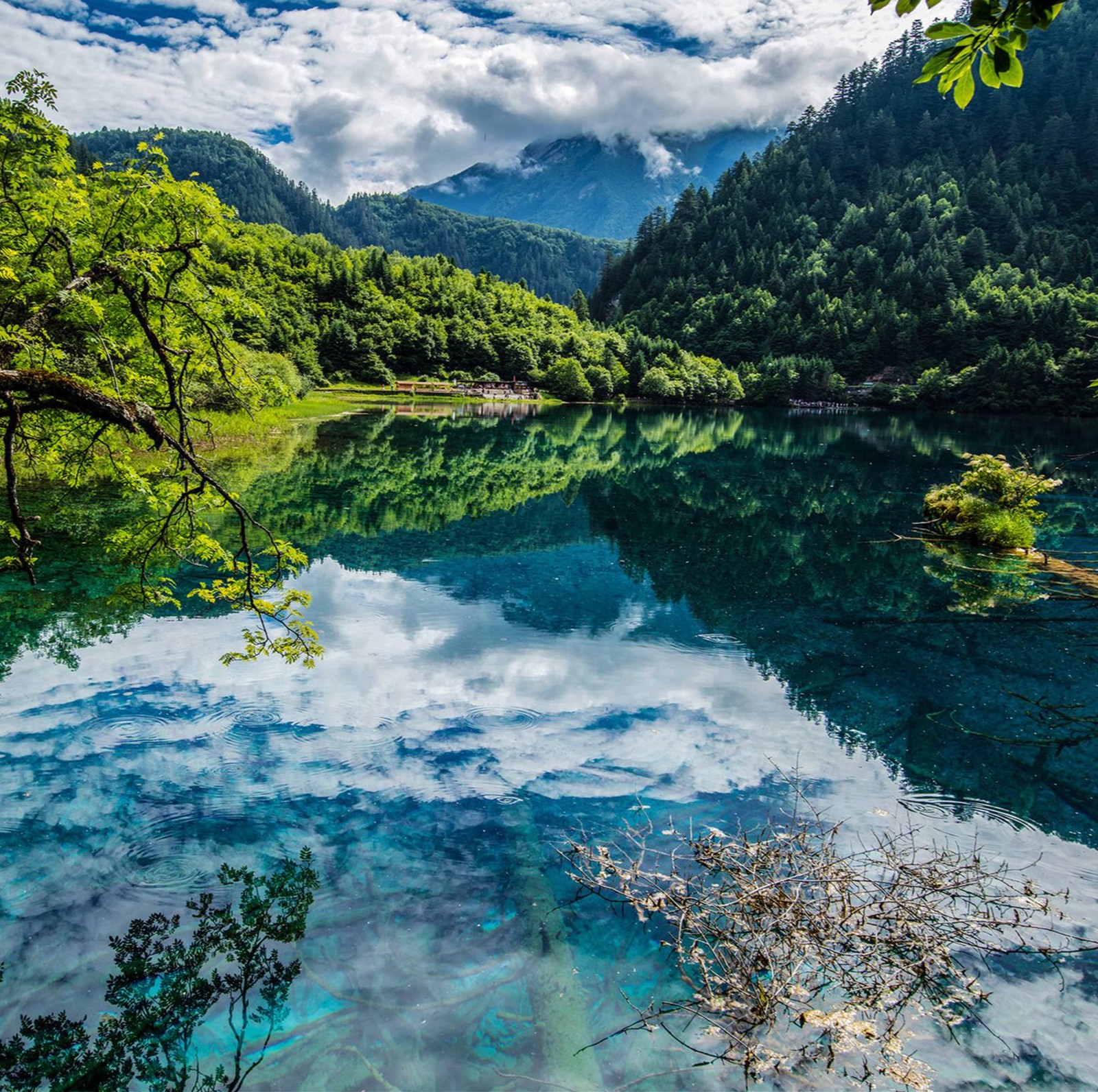 九寨沟国际旅行社 