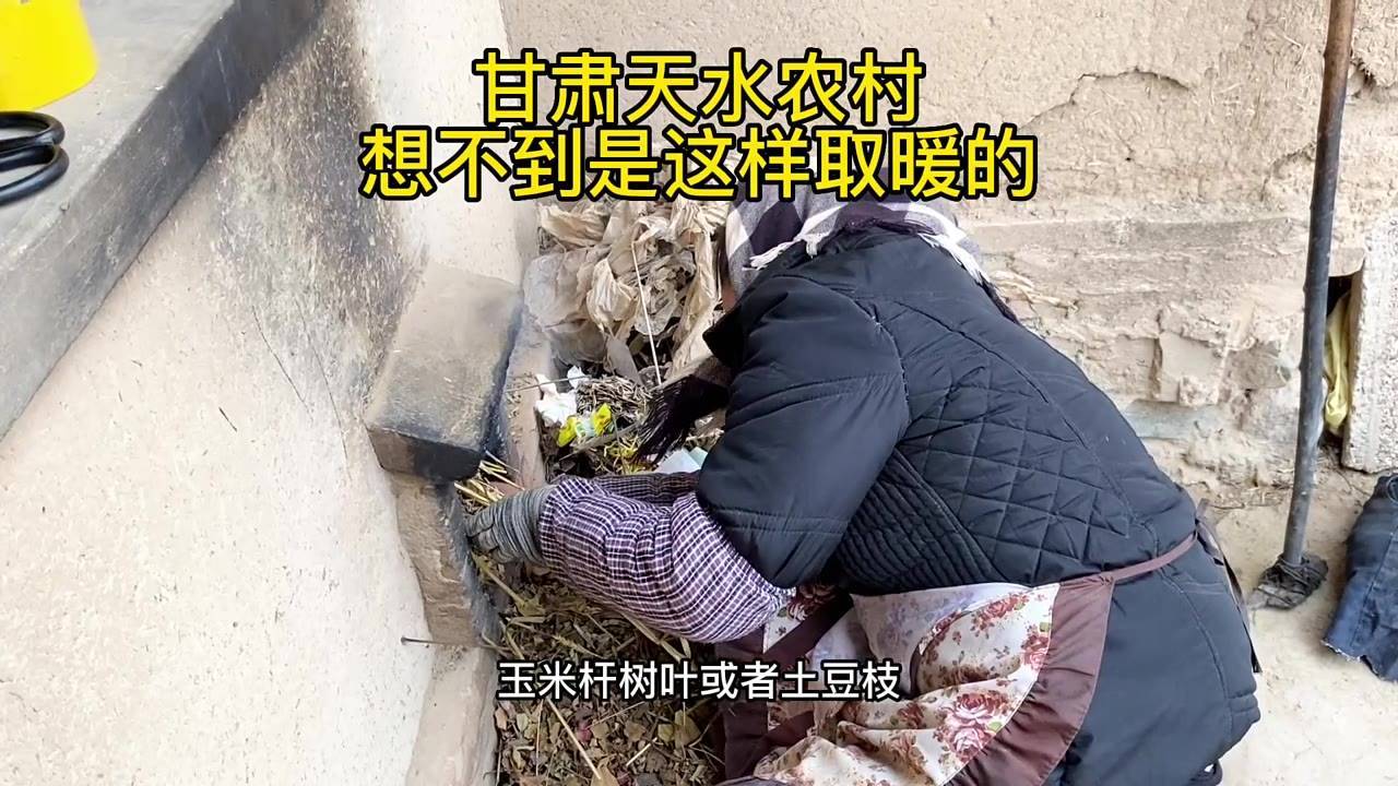 两粒种子,一片森林。