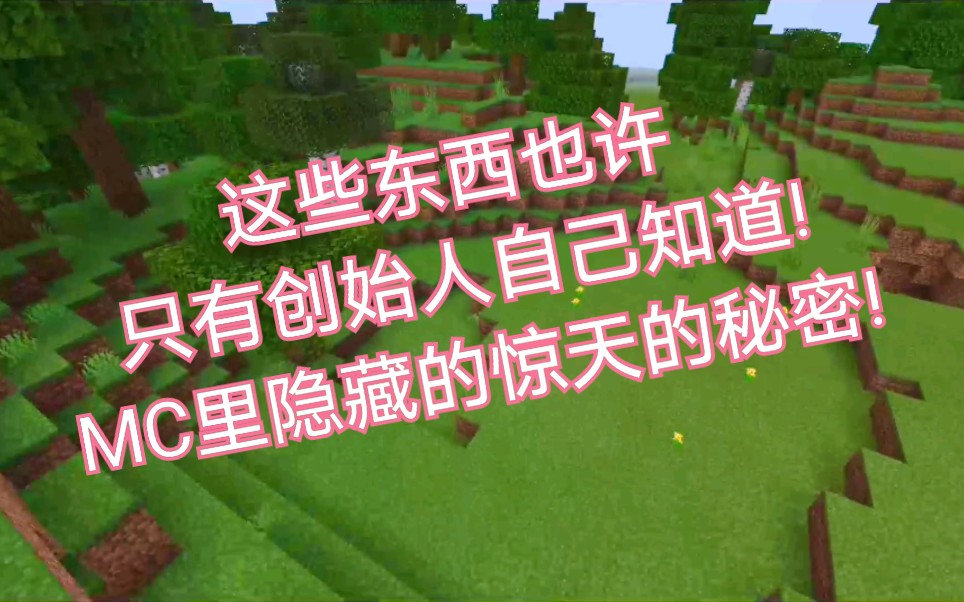 手机版旁观模式?隐藏附魔?网易究竟隐瞒了我们多少东西!