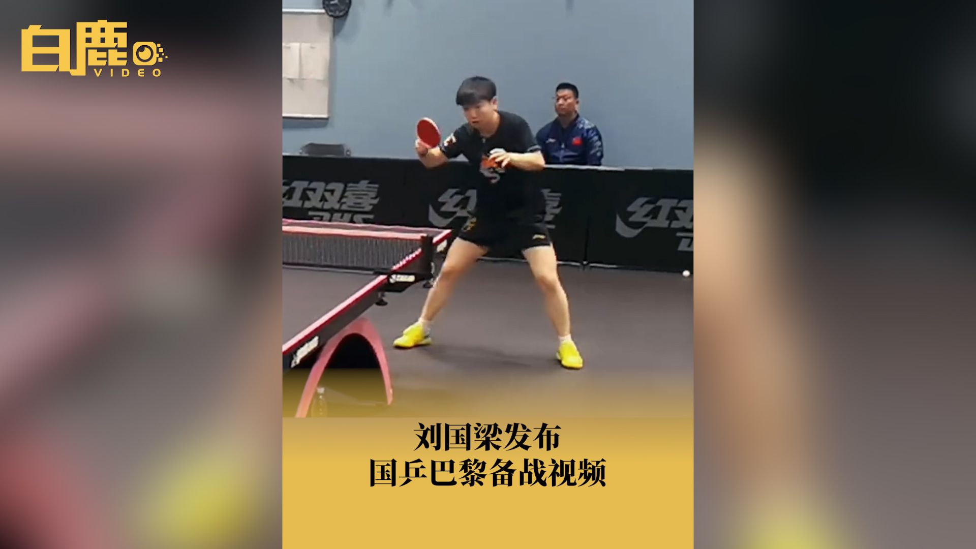 刘国梁发国乒巴黎备战视频