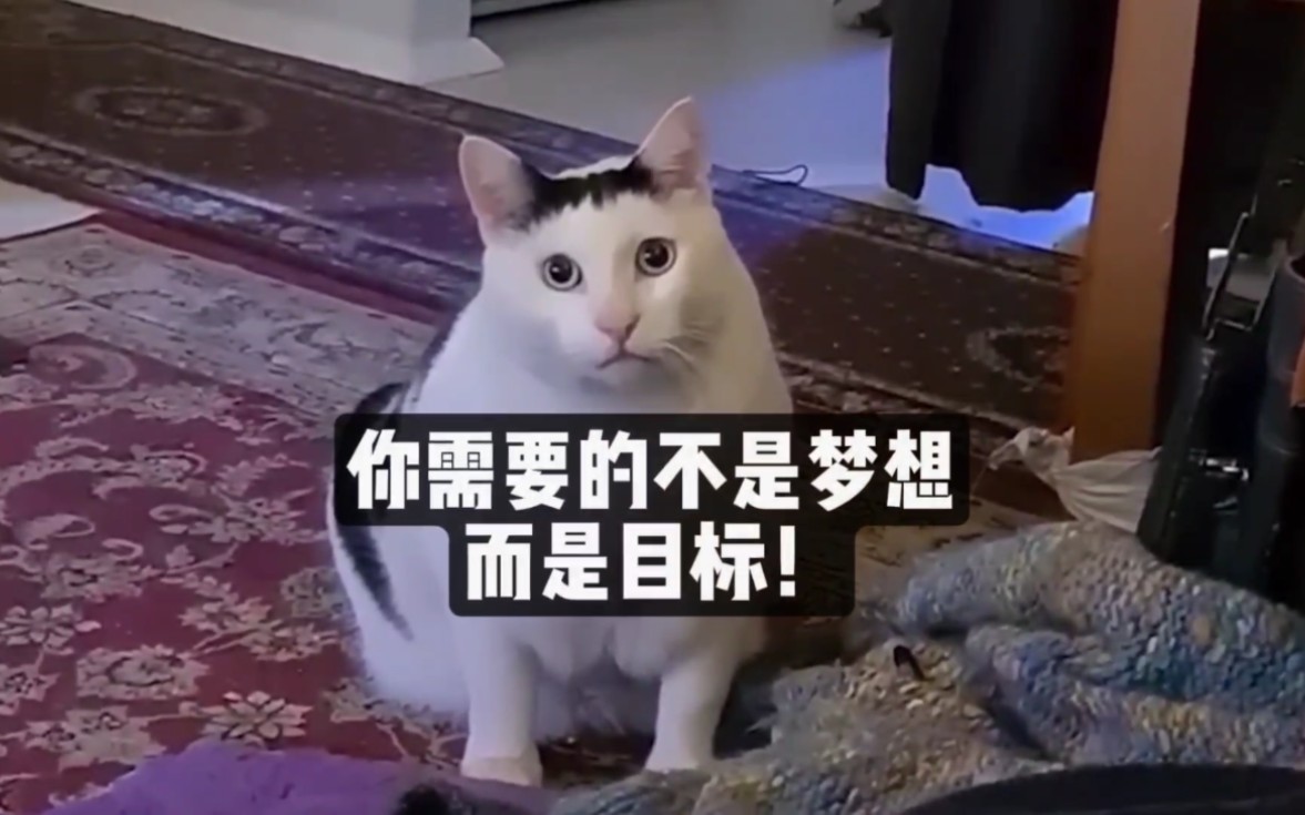 梦想没有用,目标才有用!