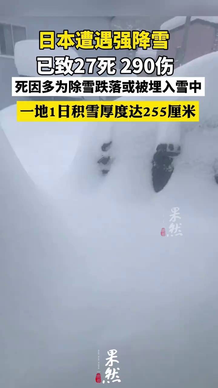日本强降雪已致27死 290伤