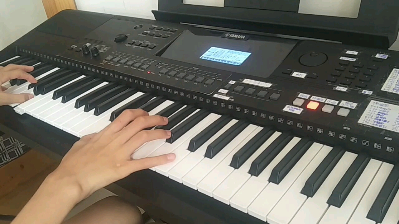编曲键盘演奏: 美丽的草原我的家 电子琴演奏