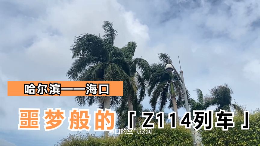 噩梦般的Z114列车 真实感受