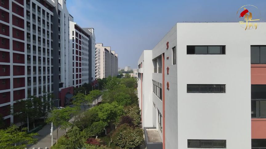 亦师亦友、以生带生,中职学校如何提高学生管理能力?榜样引领