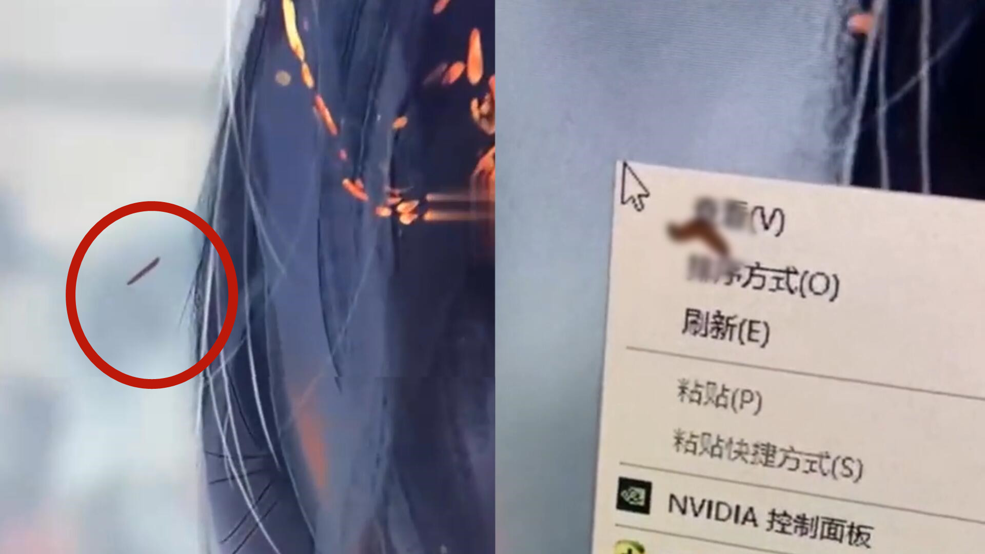 真桌面宠物!男子无意间发现电脑屏幕内有异物,仔细一看瞬间懵了