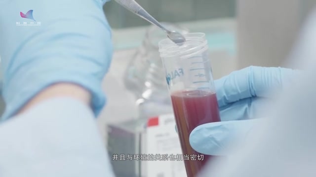生命旅程的掌舵者——表观遗传