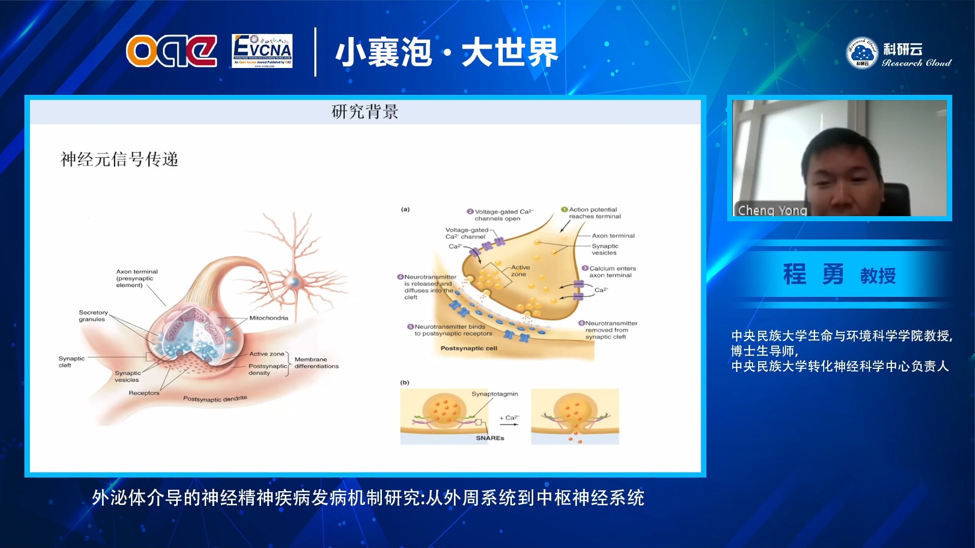 ...外泌体介导的神经精神疾病发病机制研究:从外周系统到中枢神经系统