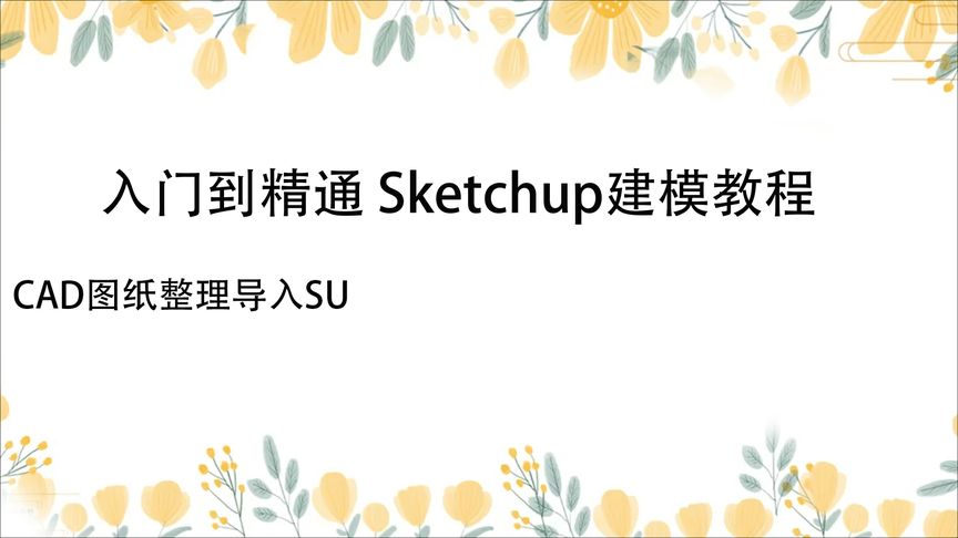 SketchUp建模教程-CAD图纸整理导入SU