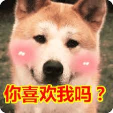 游戏菜鸟祥子哥 