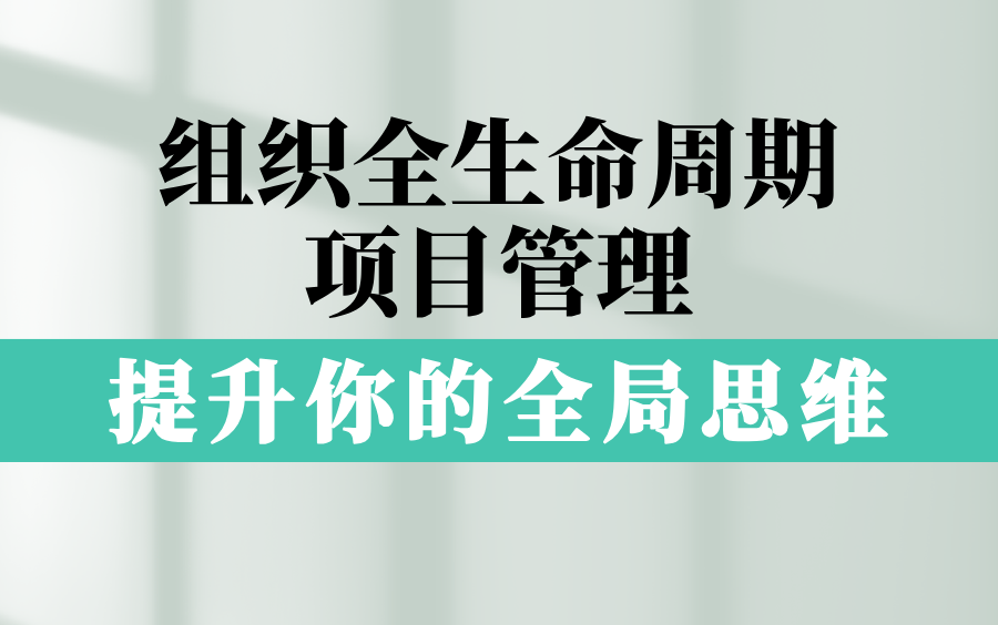 组织全生命周期项目管理,提升你的全局思维