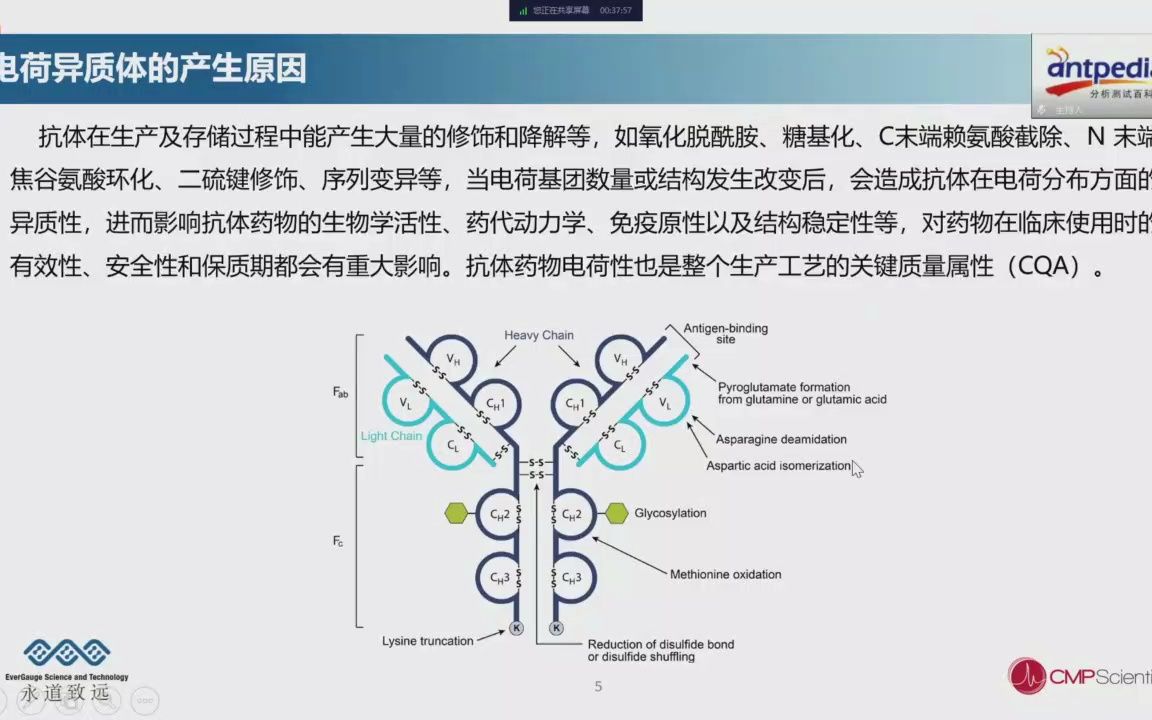 双特异性抗体、ADC和高度糖基化蛋白药物的电荷异质性质谱分析