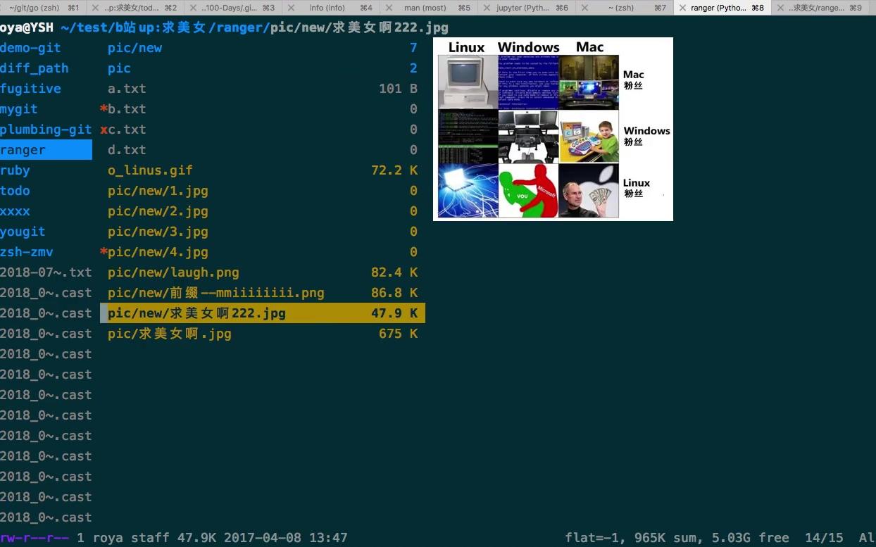文件管理器ranger,有了它什么tc什么finder什么资源管理器都是浮云,vim...