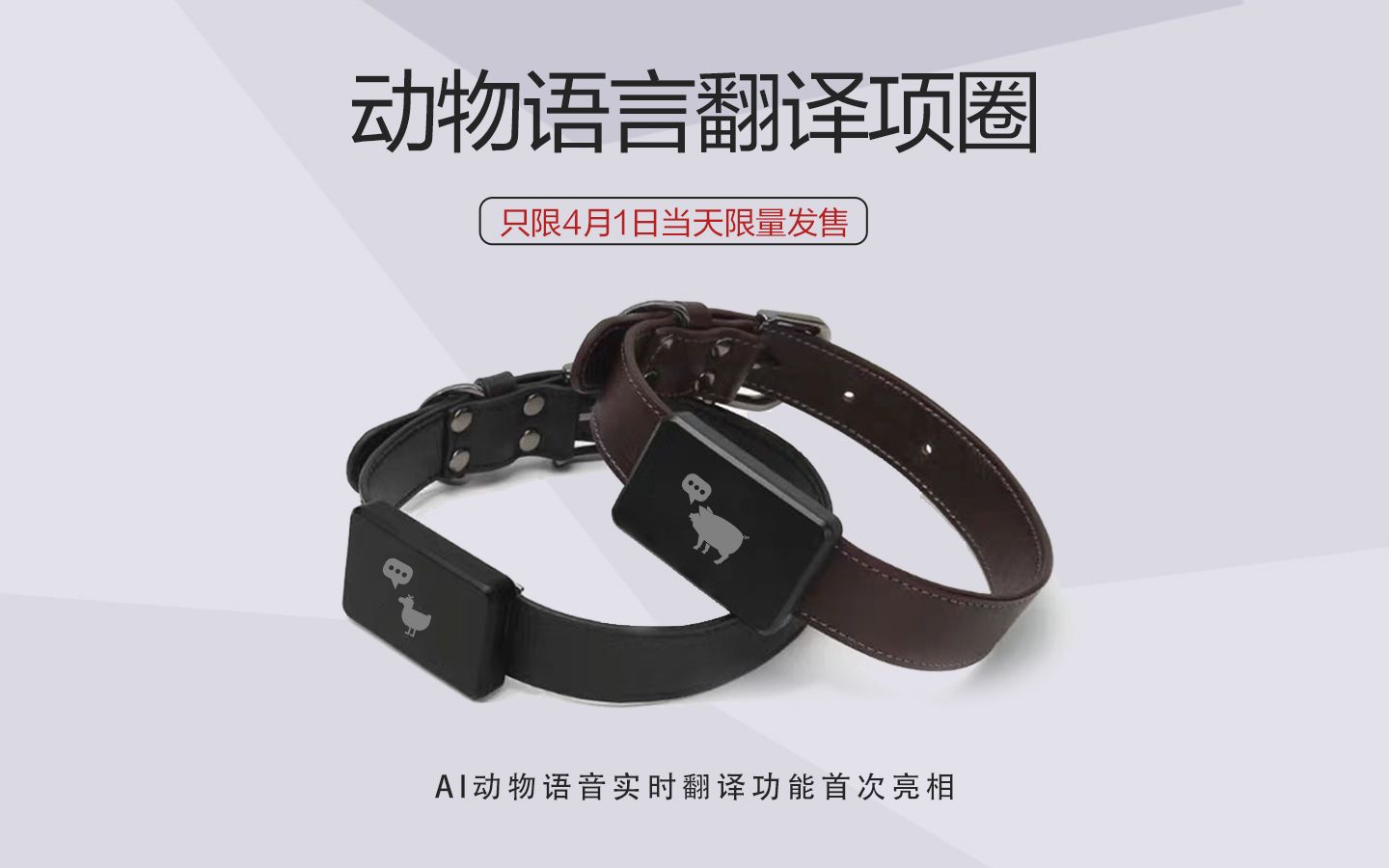 想和你的宠物对话吗?华为云动物语言翻译圈来了~