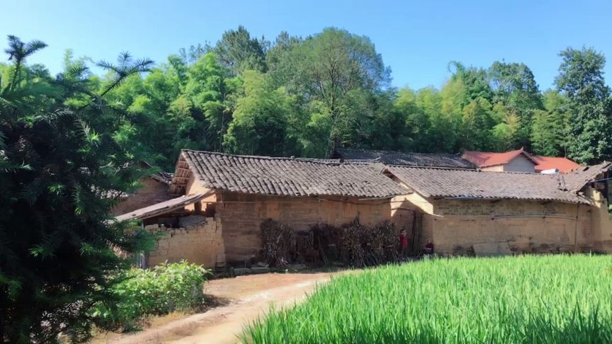 简单介绍一下我的家乡