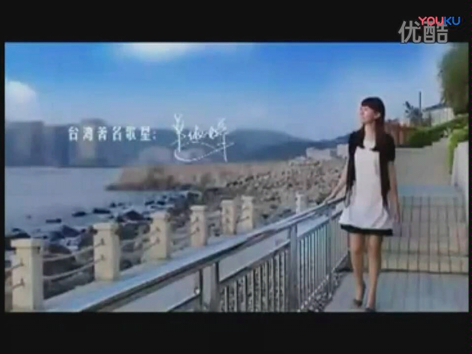 海利304不锈钢管广告(代言人为卓依婷)