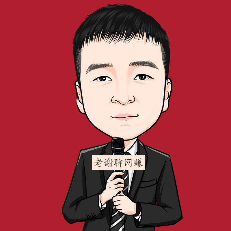 谢银龙创业营销 