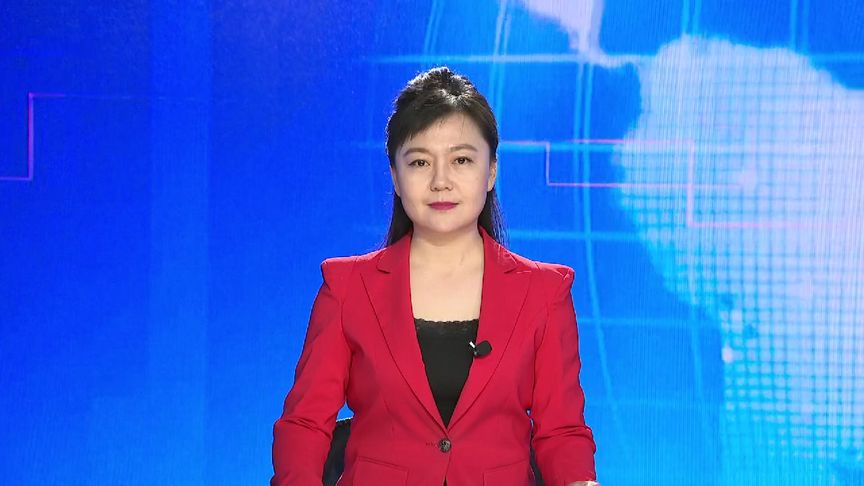 大同区宣传部长、统战部长牟英君深入民营企业和新联会走访调研