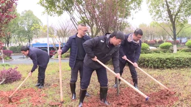 春风催新绿植树正当时:我县开展义务植树活动